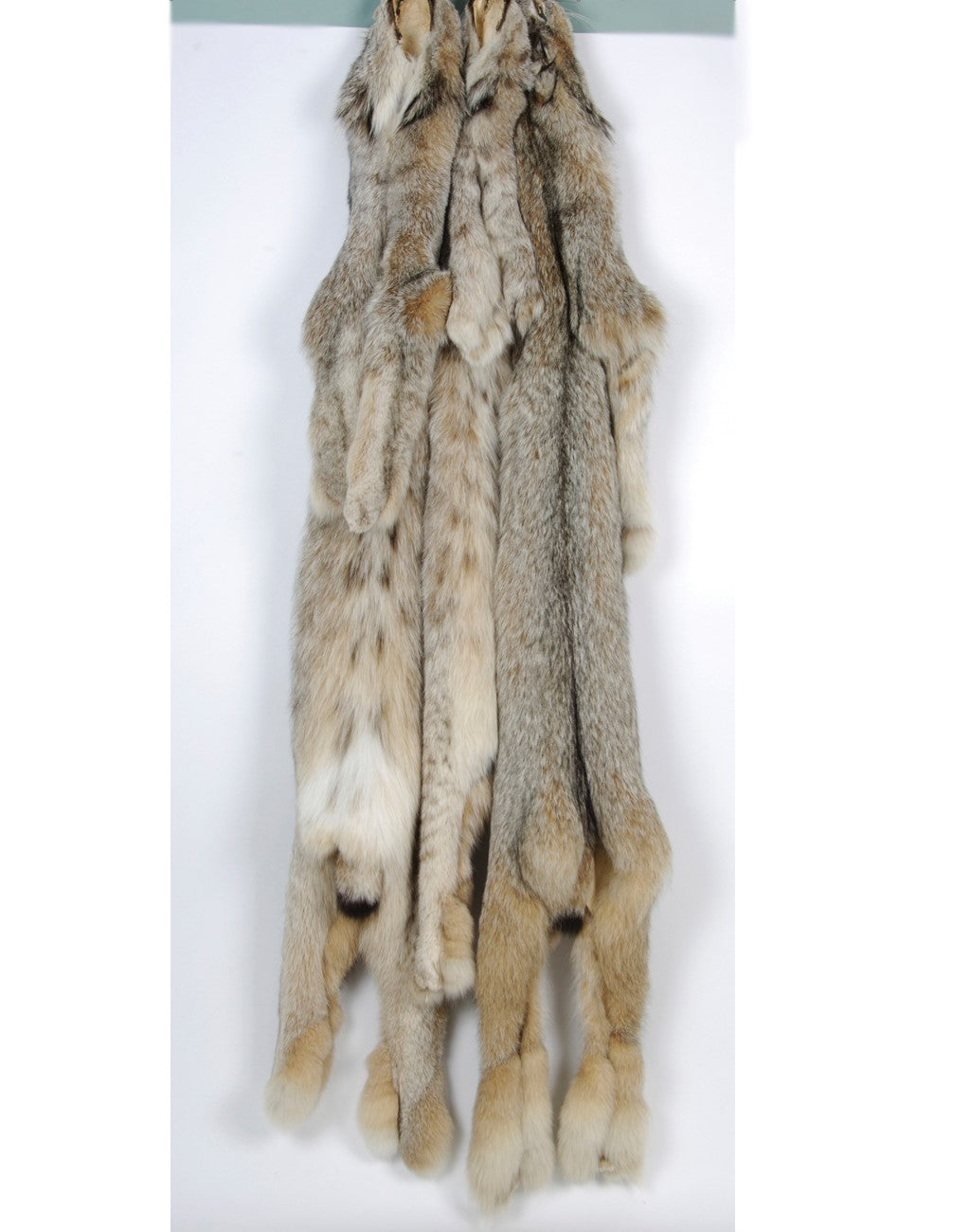 Shop Canada Dressed Lynx Fur Hide — Winnipeg Outfitters