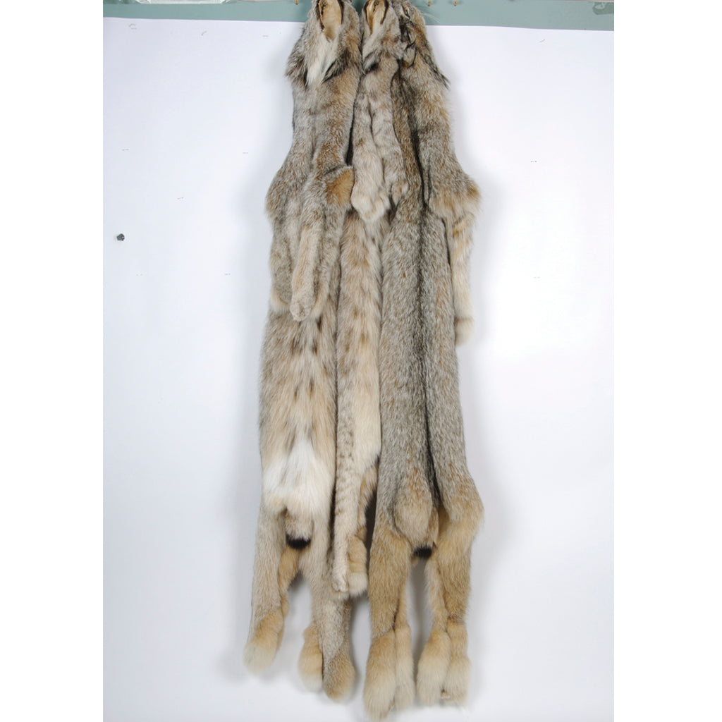 Buy High Quality "NEW" Canada Dressed Lynx Pelt — Winnipeg Outfitters