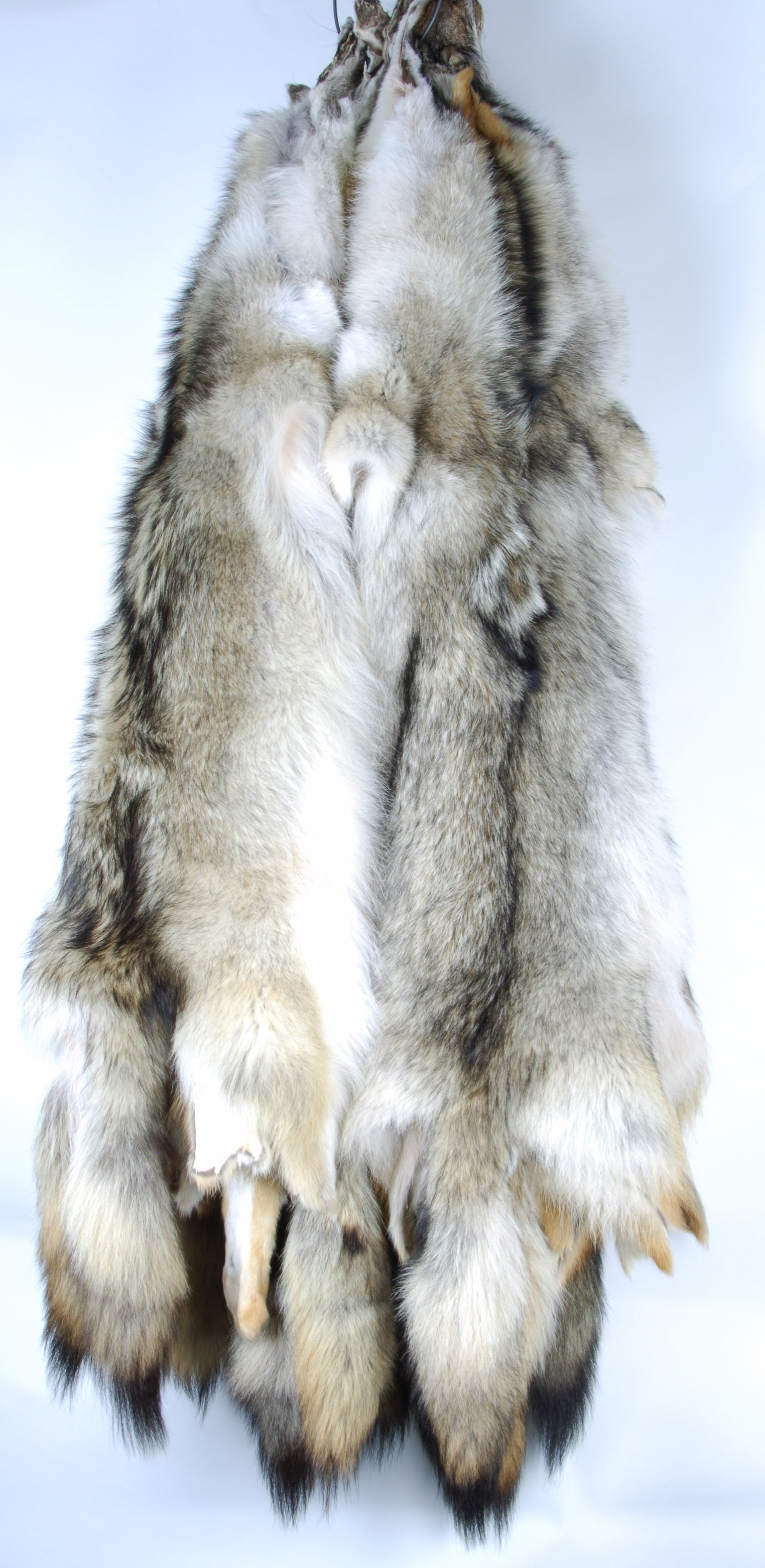 Fur | Hides and Fur best quality pelts online — Winnipeg Outfitters