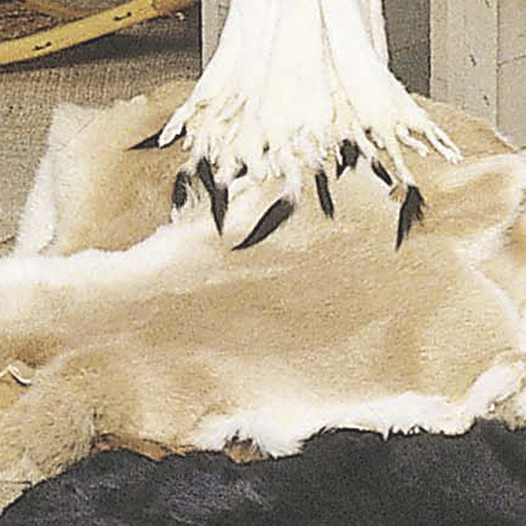 Natural Fawn Rabbits — Winnipeg Outfitters